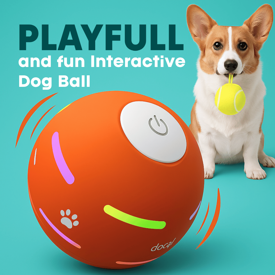 DOG’S INTERACTIVE BALL – PawBound
