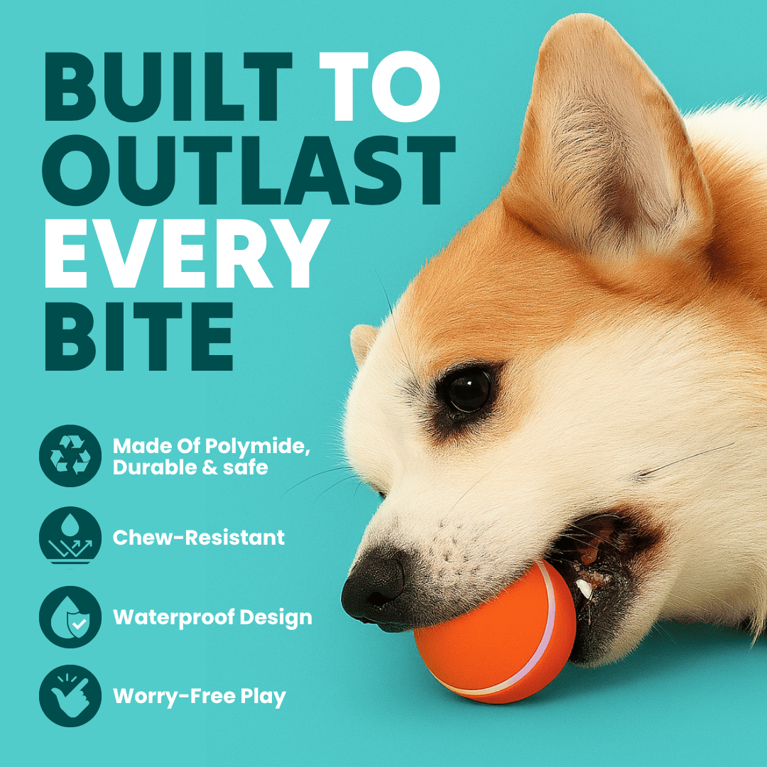 DOG’S INTERACTIVE BALL – PawBound